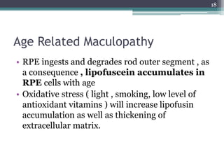 physiology of retina , retina physiology | PPTX