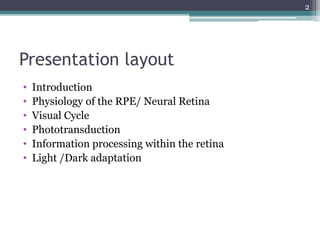 physiology of retina , retina physiology | PPTX