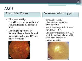 physiology of retina , retina physiology | PPTX