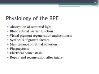 physiology of retina , retina physiology | PPTX