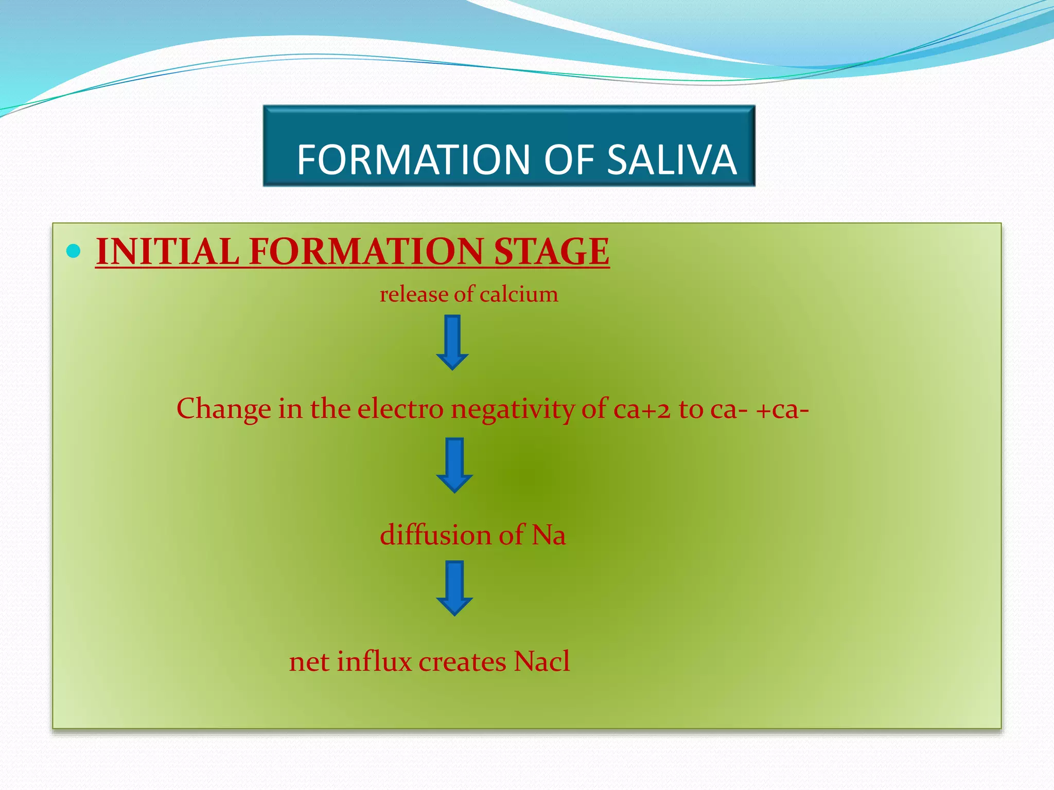 Physiology of saliva | PPTX