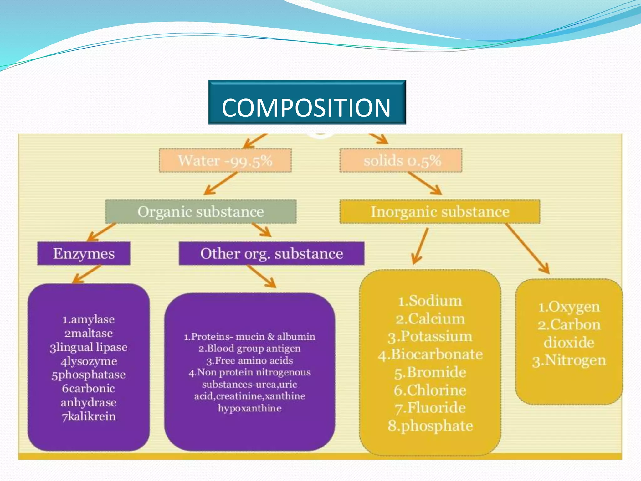 Physiology of saliva | PPTX