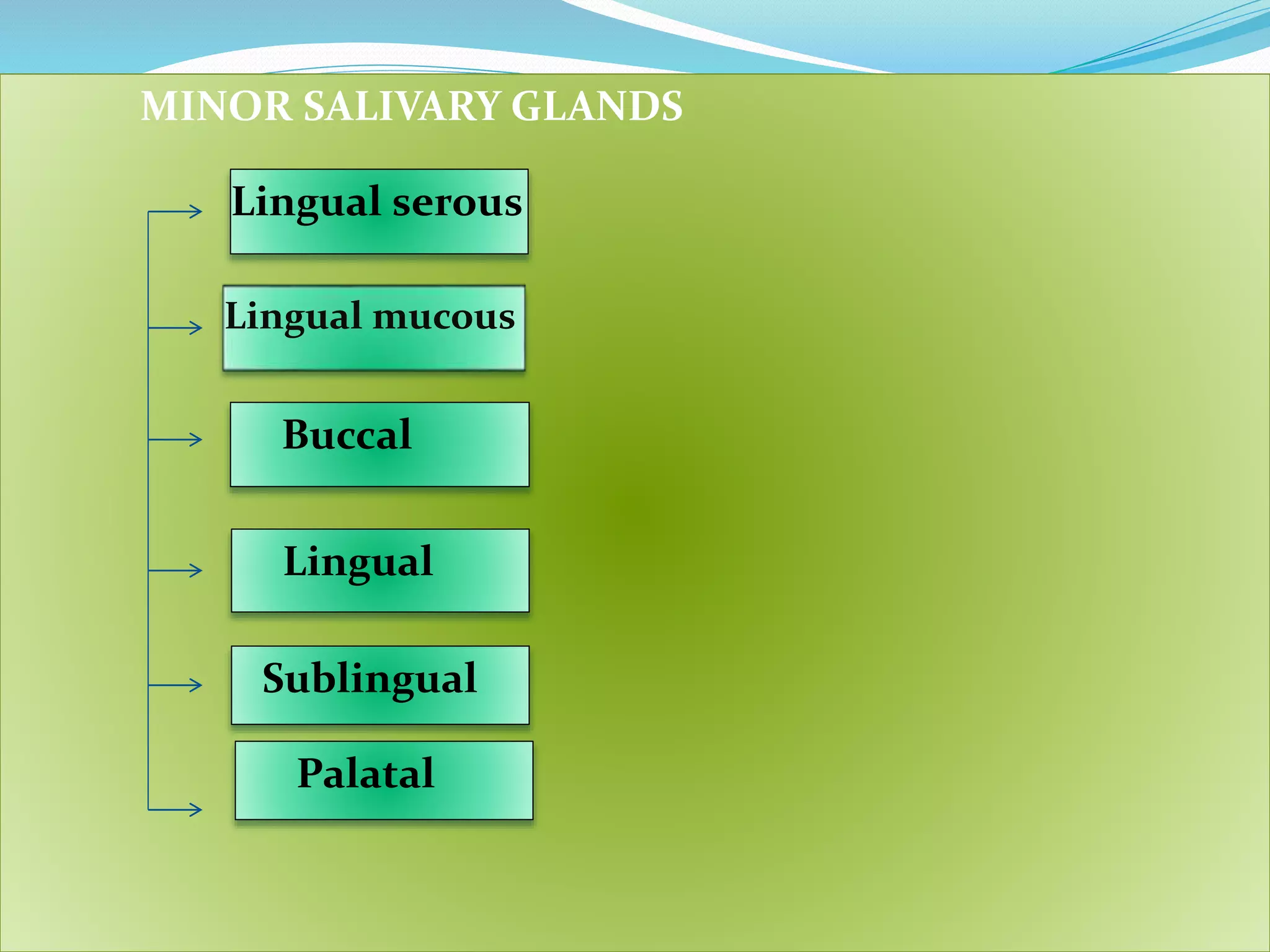 Physiology of saliva | PPTX
