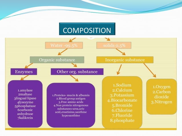 Physiology of saliva | PPTX | Ear, Nose and Throat Conditions ...