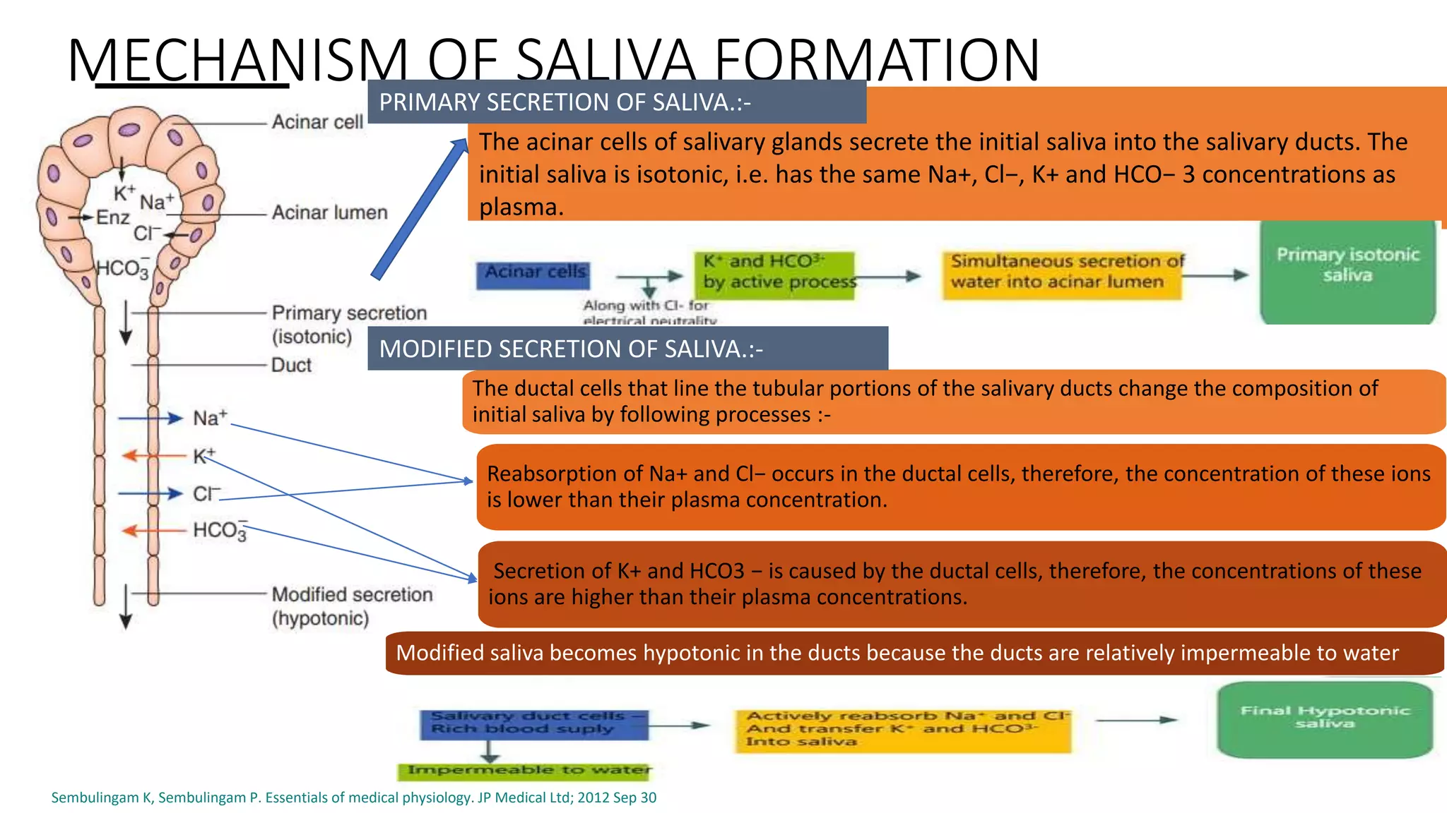 PHYSIOLOGY OF SALIVA AND ITS SIGNIFICANCE IN PROSTHODONTICS.pptx