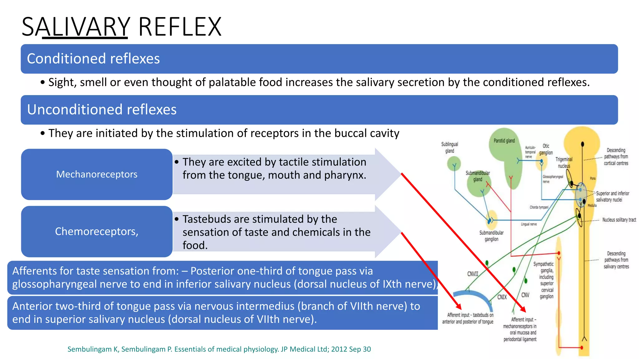 PHYSIOLOGY OF SALIVA AND ITS SIGNIFICANCE IN PROSTHODONTICS.pptx