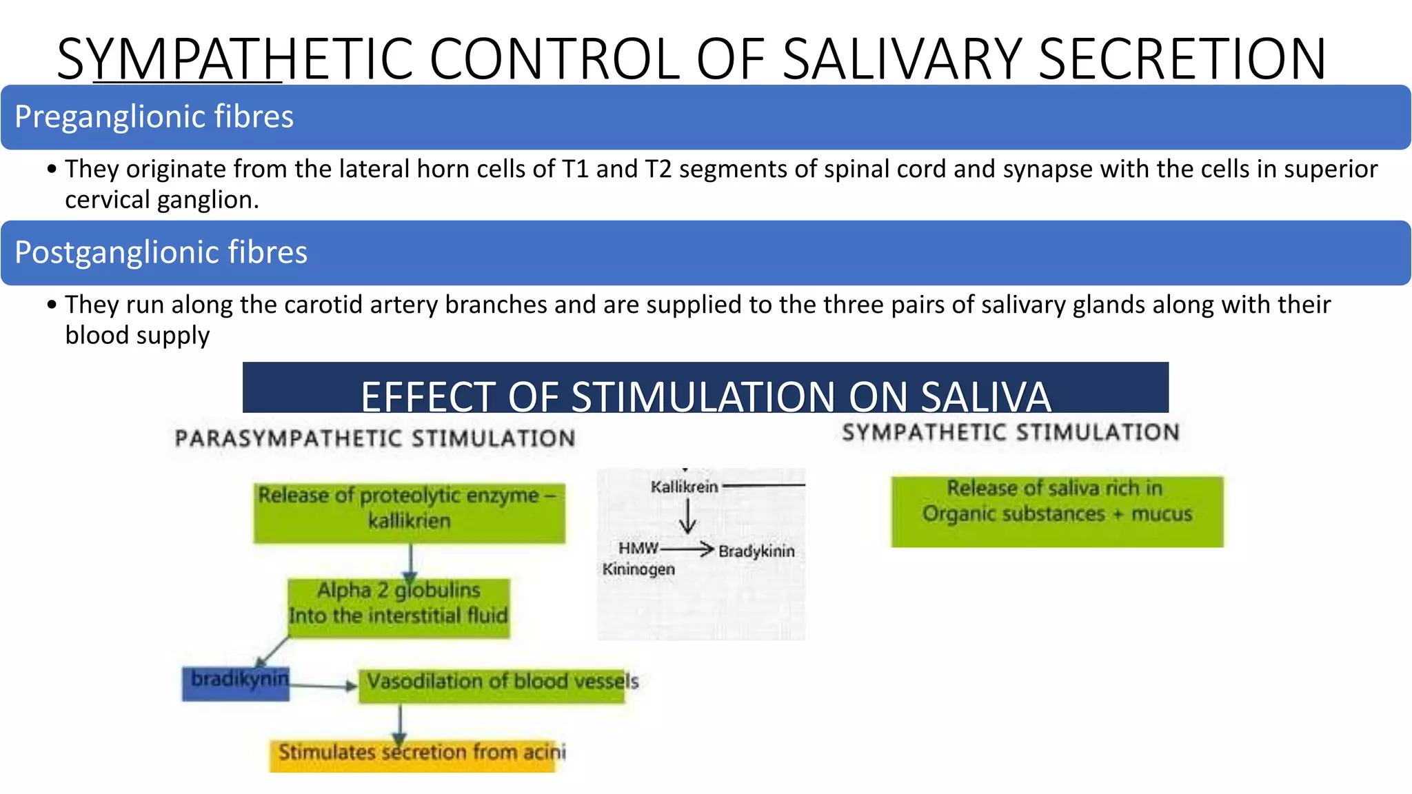 PHYSIOLOGY OF SALIVA AND ITS SIGNIFICANCE IN PROSTHODONTICS.pptx