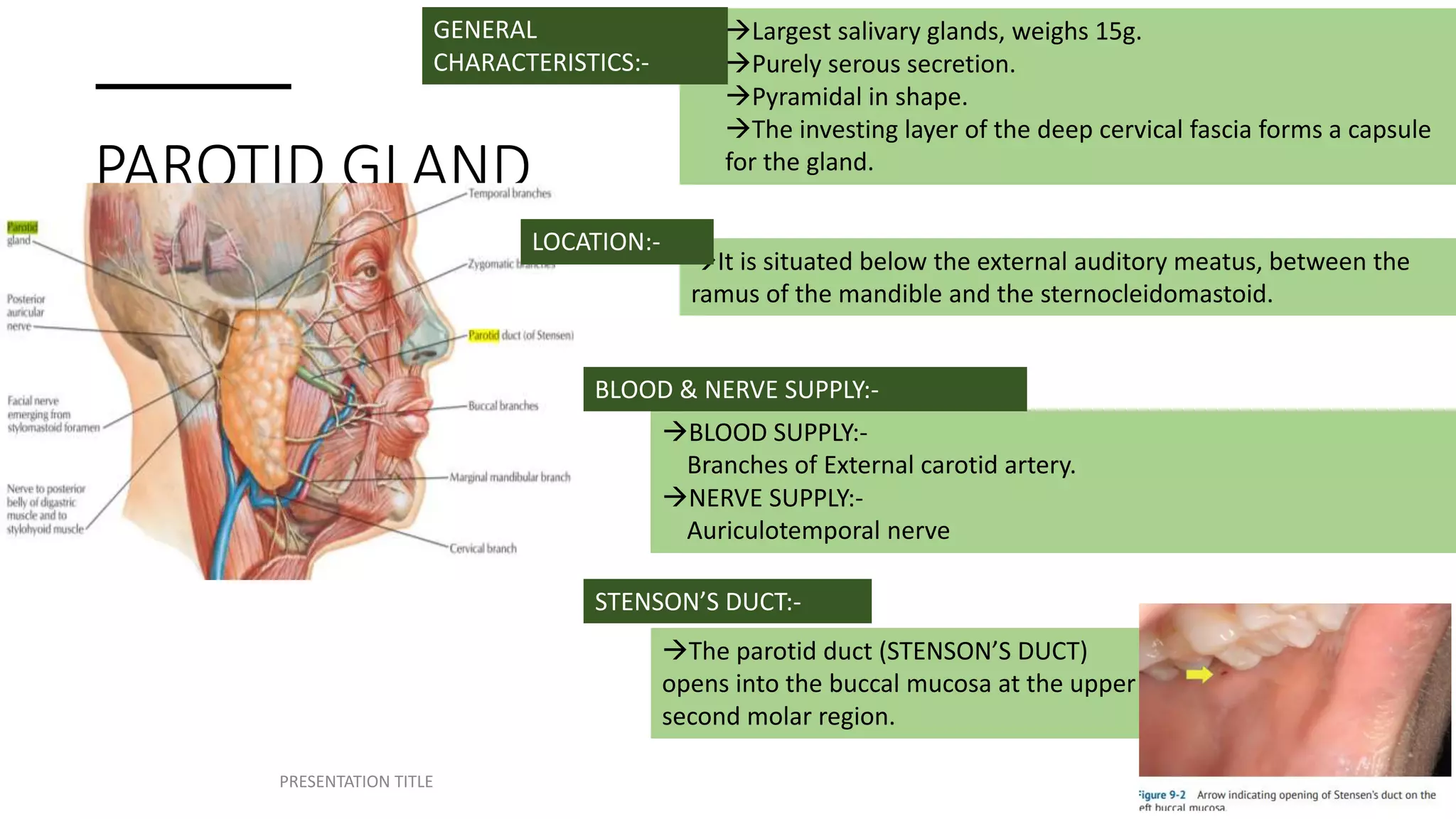 PHYSIOLOGY OF SALIVA AND ITS SIGNIFICANCE IN PROSTHODONTICS.pptx