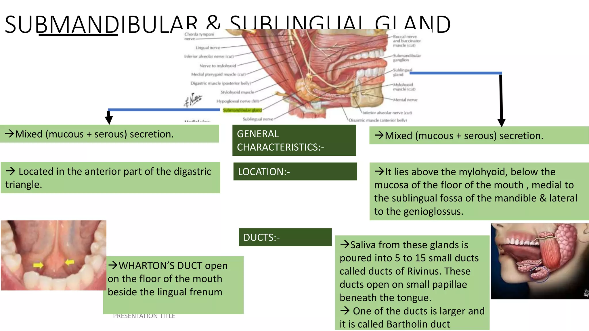 PHYSIOLOGY OF SALIVA AND ITS SIGNIFICANCE IN PROSTHODONTICS.pptx