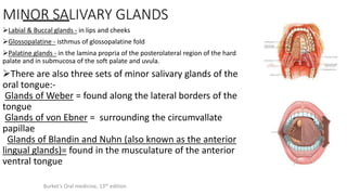 PHYSIOLOGY OF SALIVA AND ITS SIGNIFICANCE IN PROSTHODONTICS.pptx