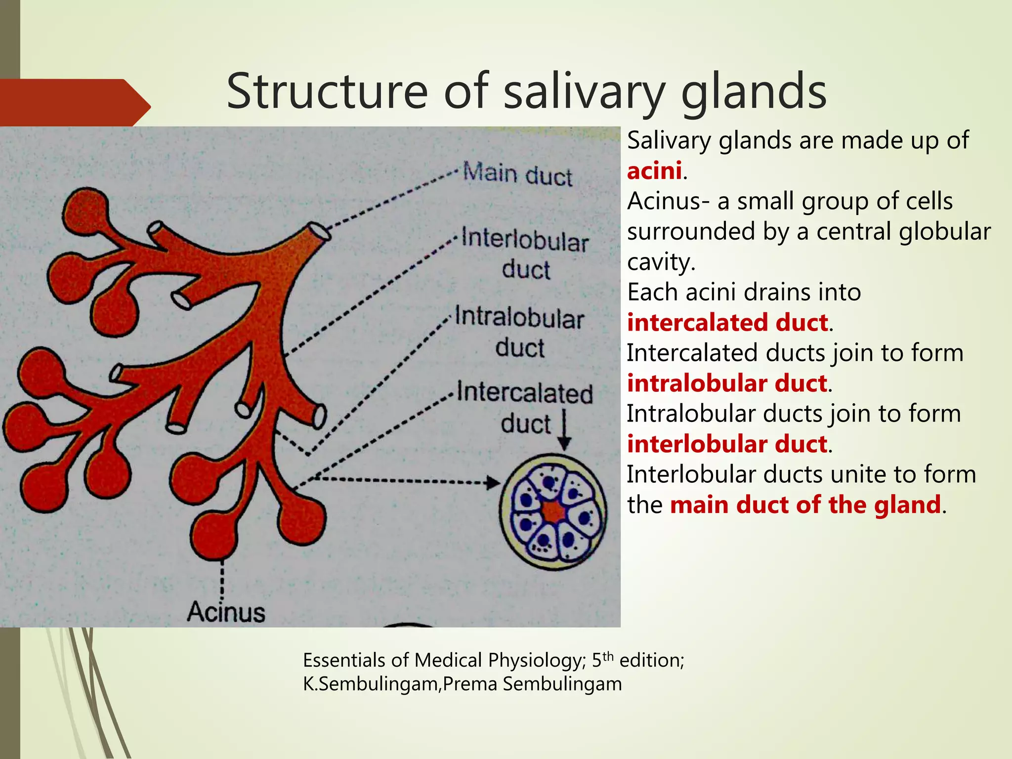 Physiology of saliva | PPTX