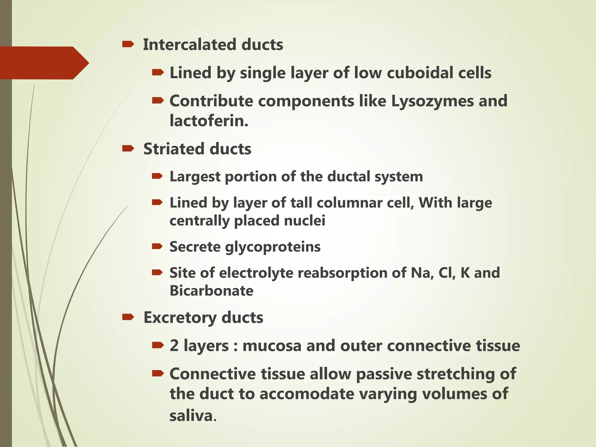 Physiology of saliva | PPTX