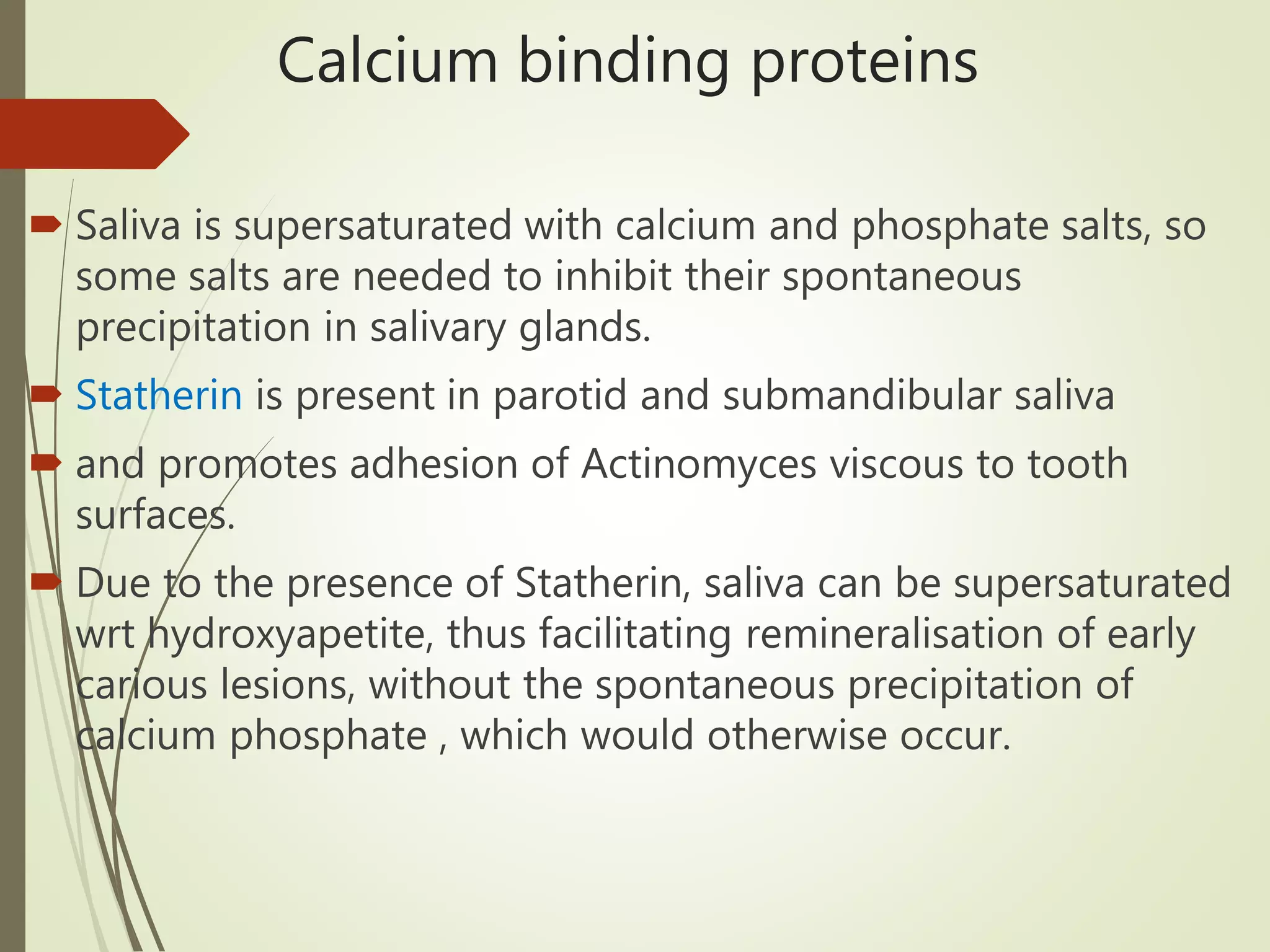 Physiology of saliva | PPTX
