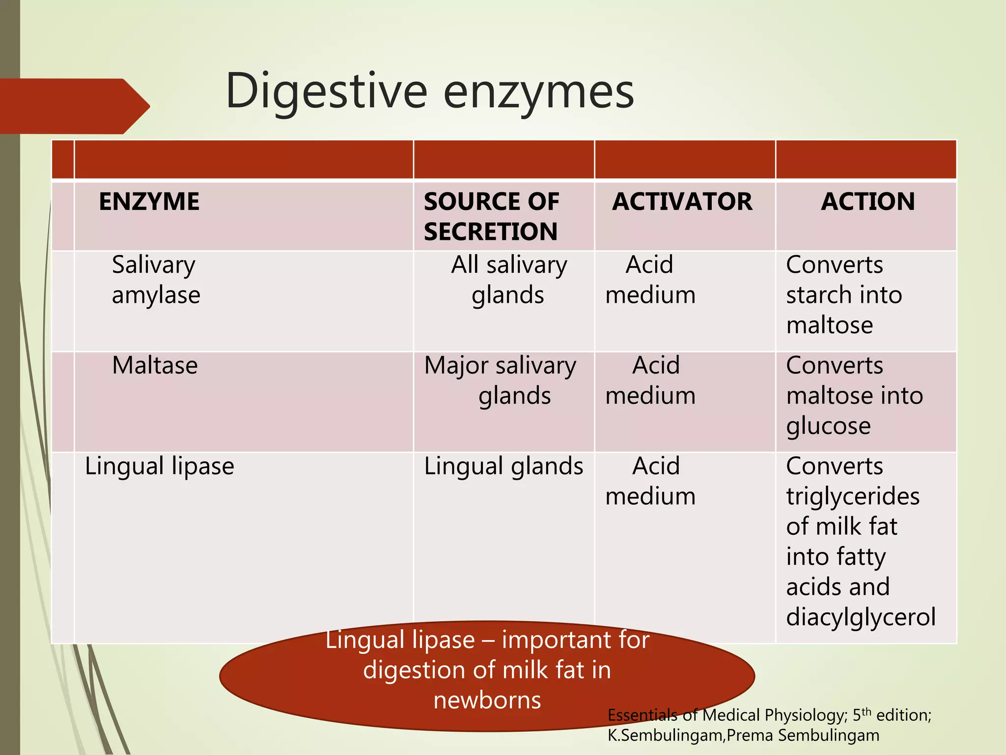 Physiology of saliva | PPTX
