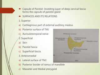 Physiology of saliva | PPTX