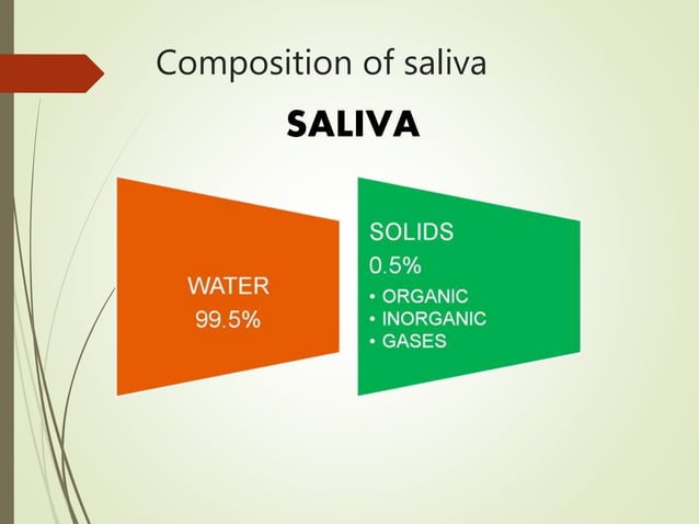 Physiology of saliva | PPTX | Ear, Nose and Throat Conditions ...