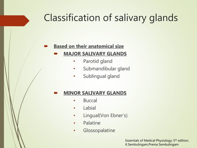 Physiology of saliva | PPTX | Ear, Nose and Throat Conditions ...