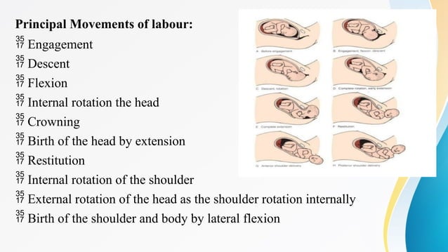 physiology of second stage of labour[1].pptx