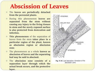 Physiology of senescence and abscission | PPTX