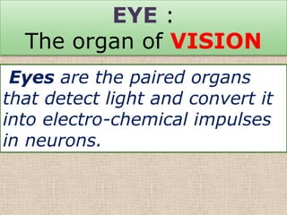 Physiology of sense organ EYE | PPTX
