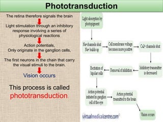 Physiology of sense organ EYE | PPTX