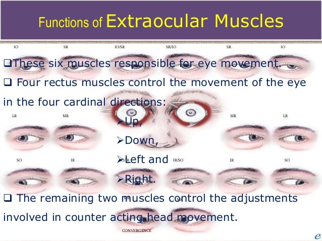Physiology of sense organ EYE