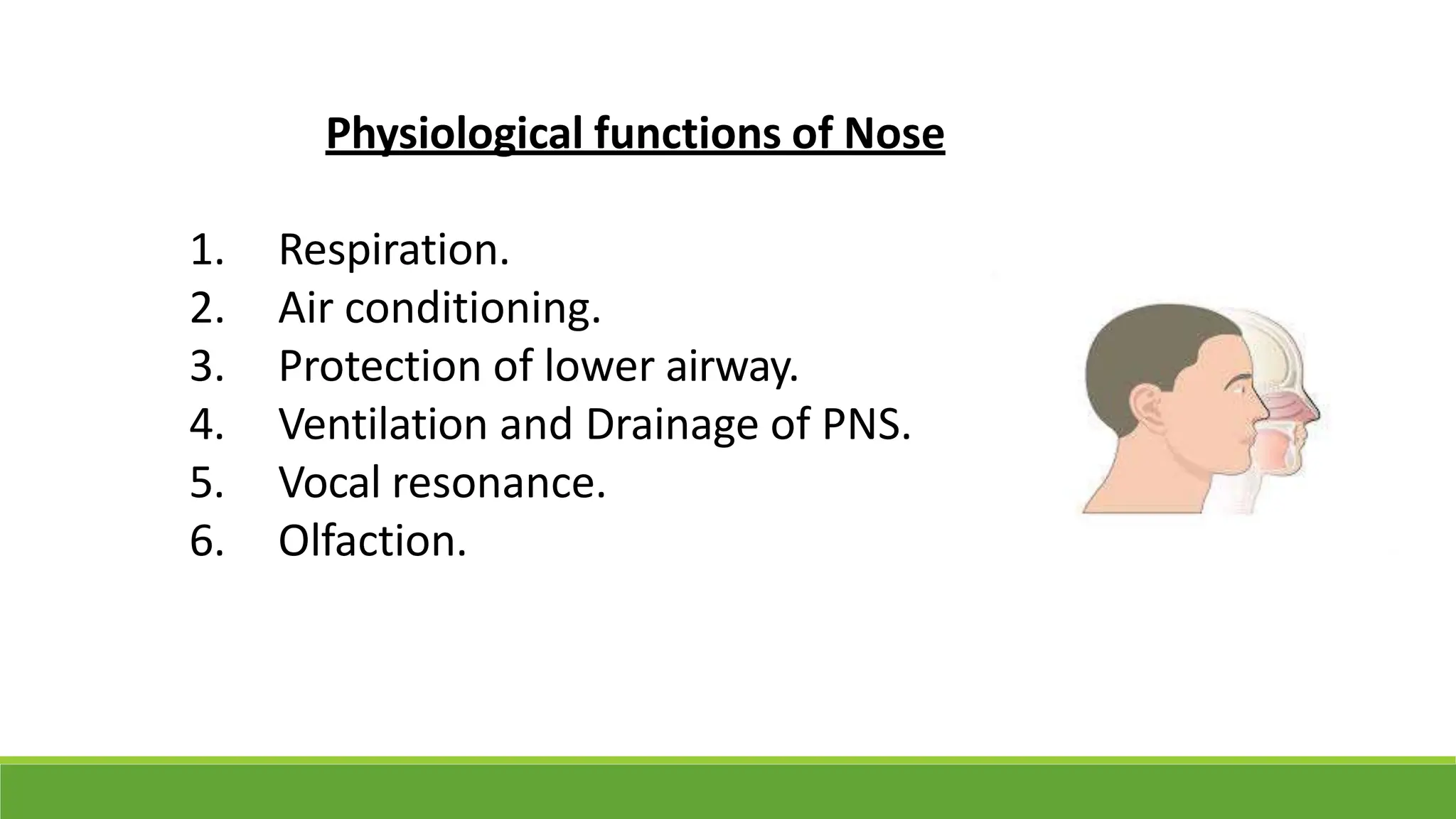 Physiology of Sensory Organ-Nose.pptx
