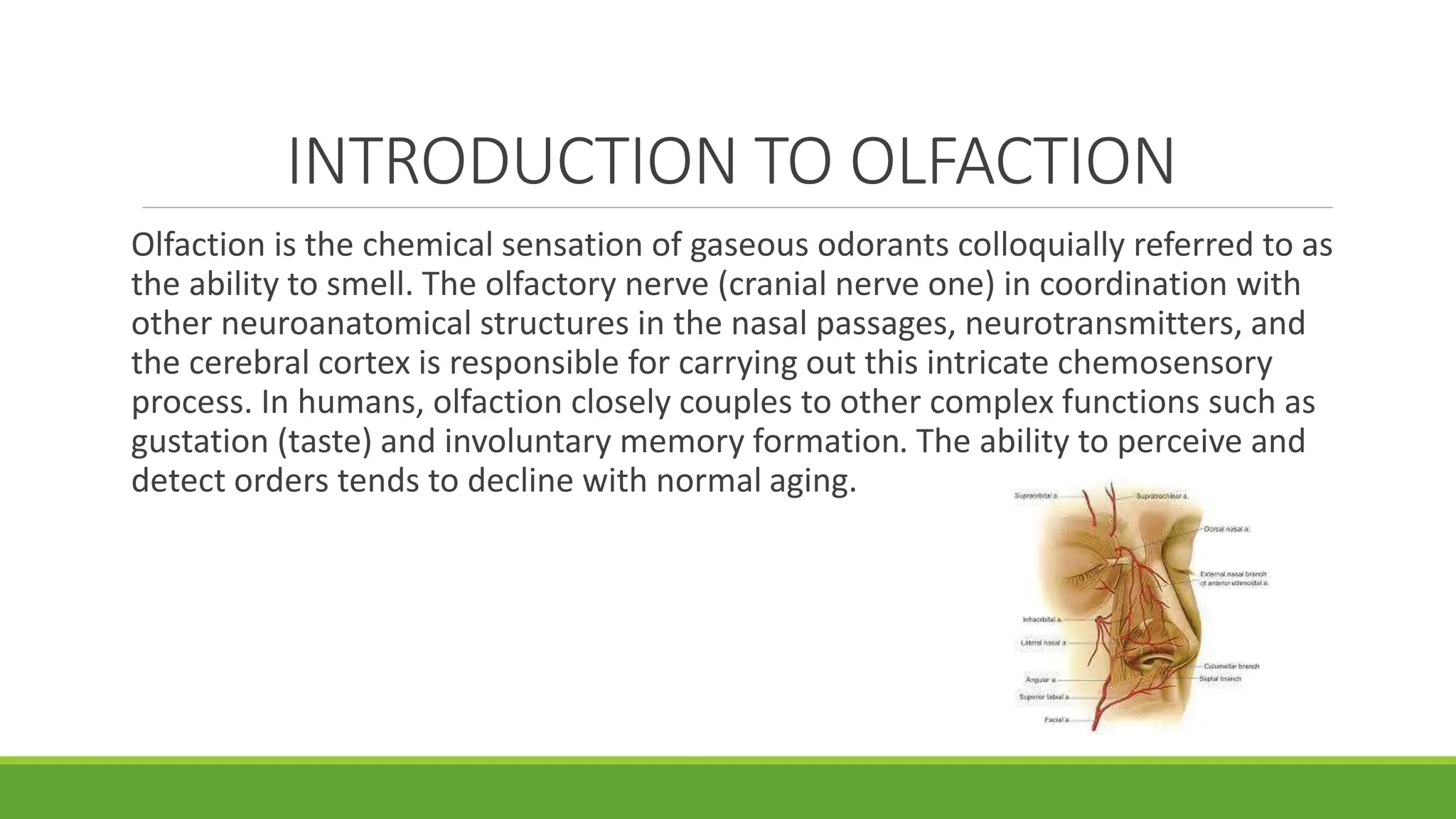 Physiology of Sensory Organ-Nose.pptx