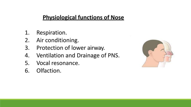 Physiology of Sensory Organ-Nose.pptx