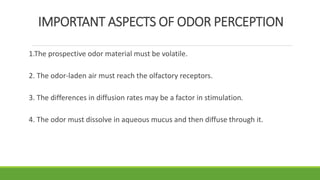 Physiology of Sensory Organ-Nose.pptx