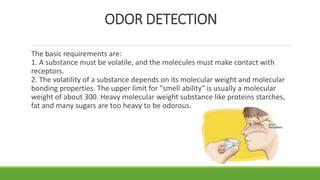 Physiology of Sensory Organ-Nose.pptx