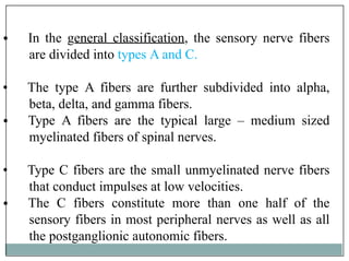 Physiology of sensory & pain.pdf