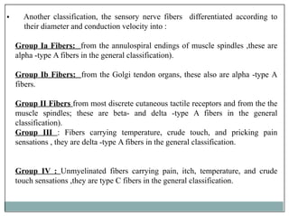 Physiology of sensory & pain.pdf