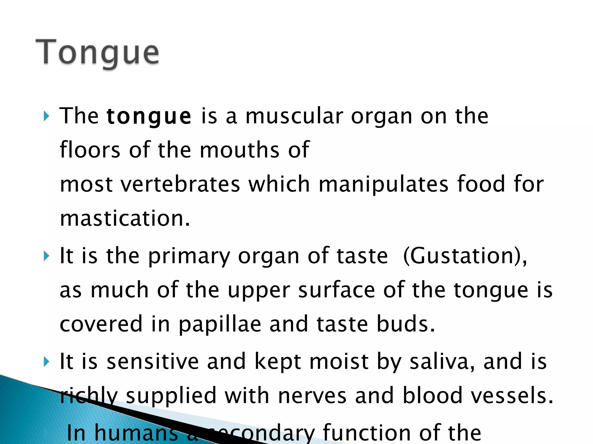 Physiology Taste and Smell | PPT