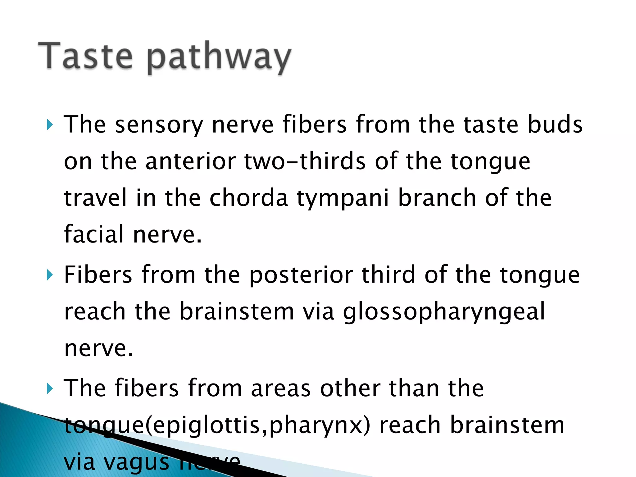 Physiology Taste and Smell | PPT