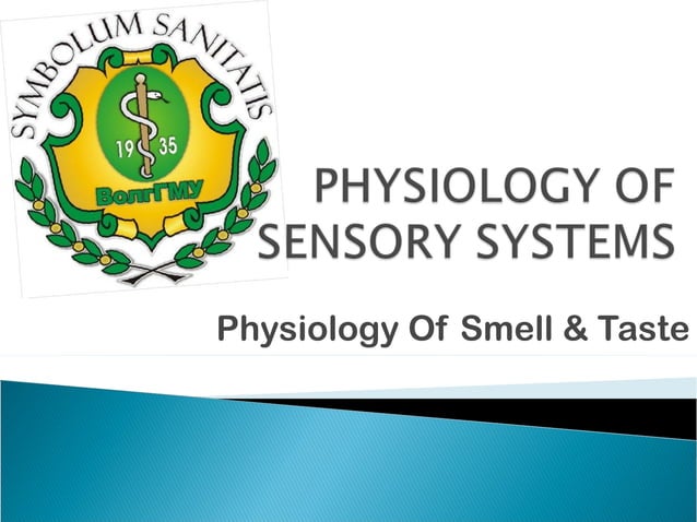 Physiology Taste and Smell | PPT | Ear, Nose and Throat Conditions ...