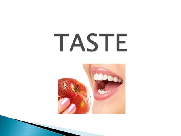 Physiology Taste and Smell | PPT | Ear, Nose and Throat Conditions ...