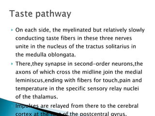 Physiology Taste and Smell | PPT