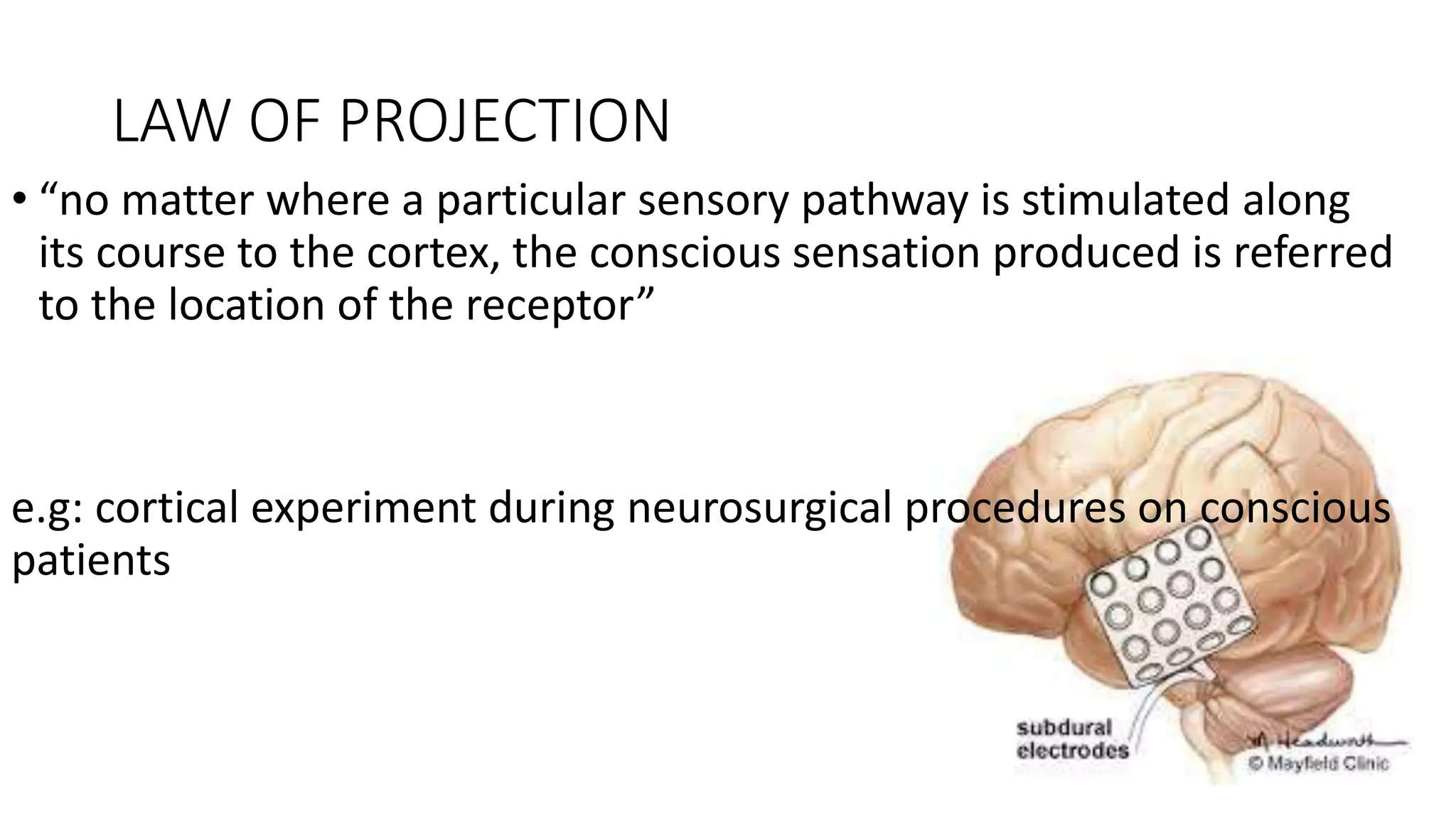 Physiology of sensory systems | PPTX