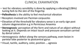 Physiology of sensory systems | PPTX
