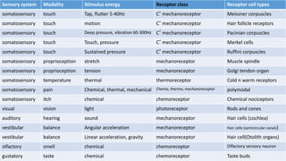 Physiology of sensory systems | PPTX