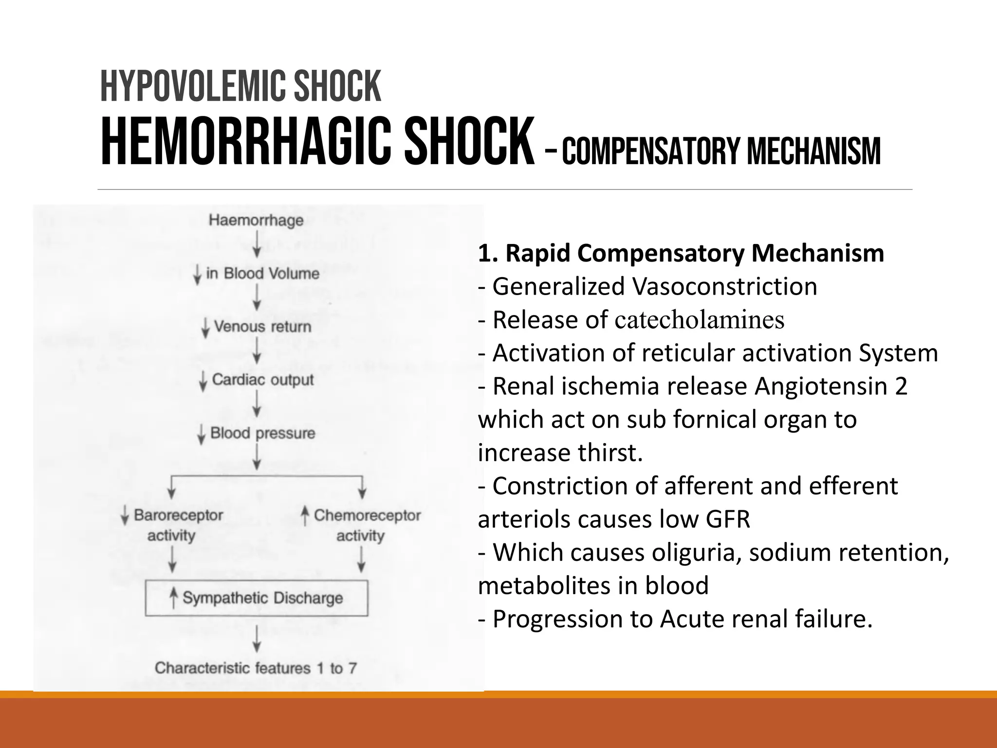 Physiology of Shock.pdf