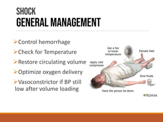 Physiology of Shock.pdf