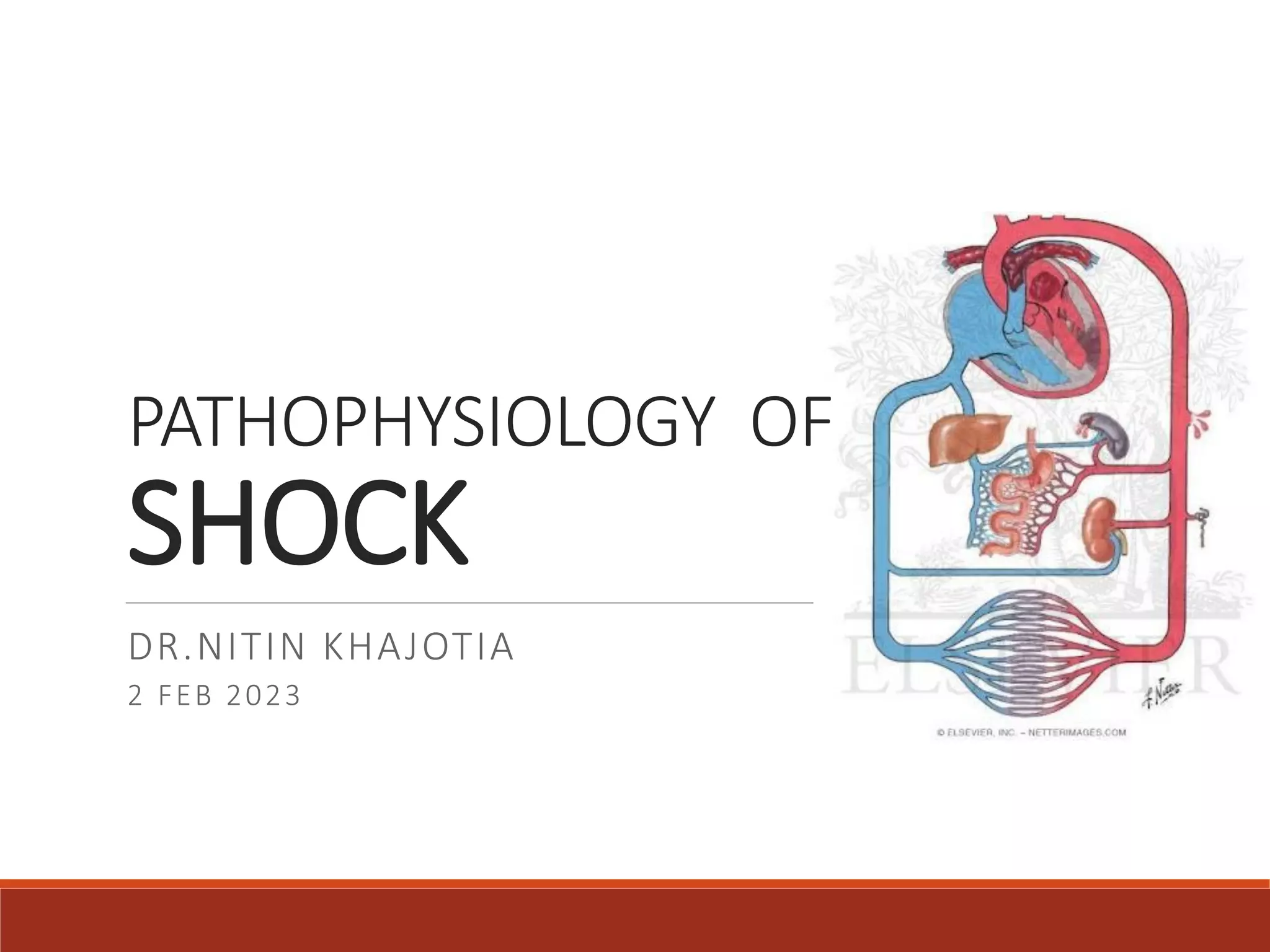 Physiology of Shock V2.pdf