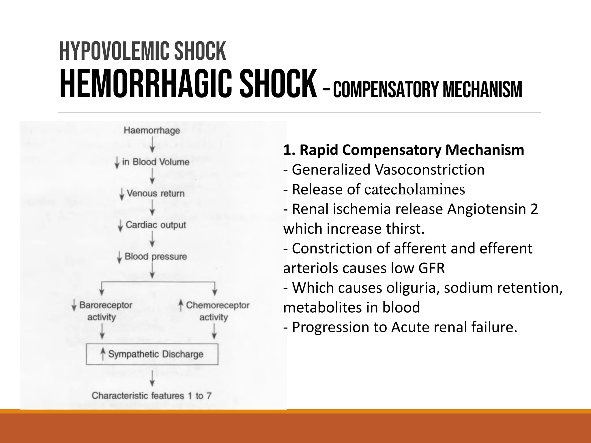 Physiology of Shock V2.pdf