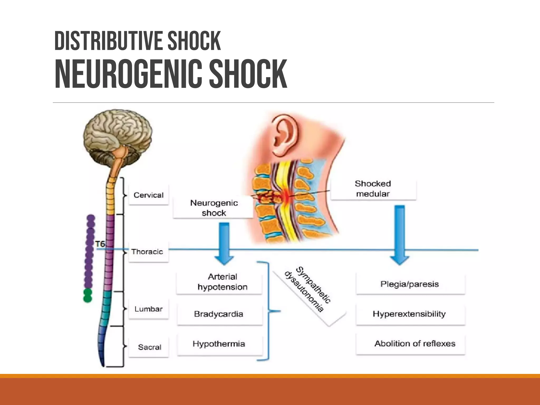 Physiology of Shock V2.pdf