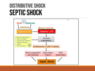 Physiology of Shock V2.pdf
