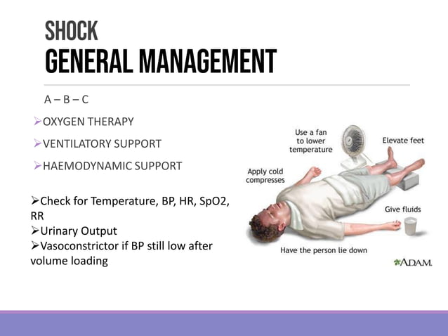 Physiology of Shock V2.pdf
