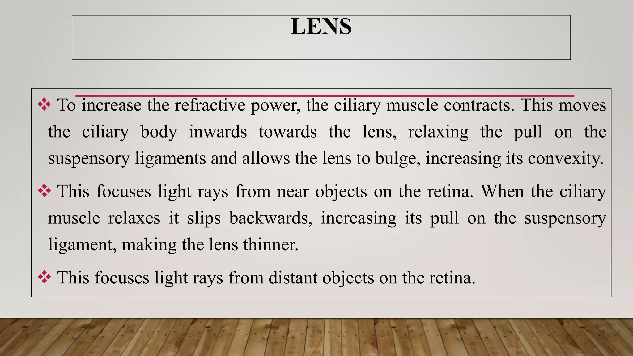 Physiology of sight | PPTX