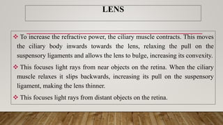 Physiology of sight | PPTX